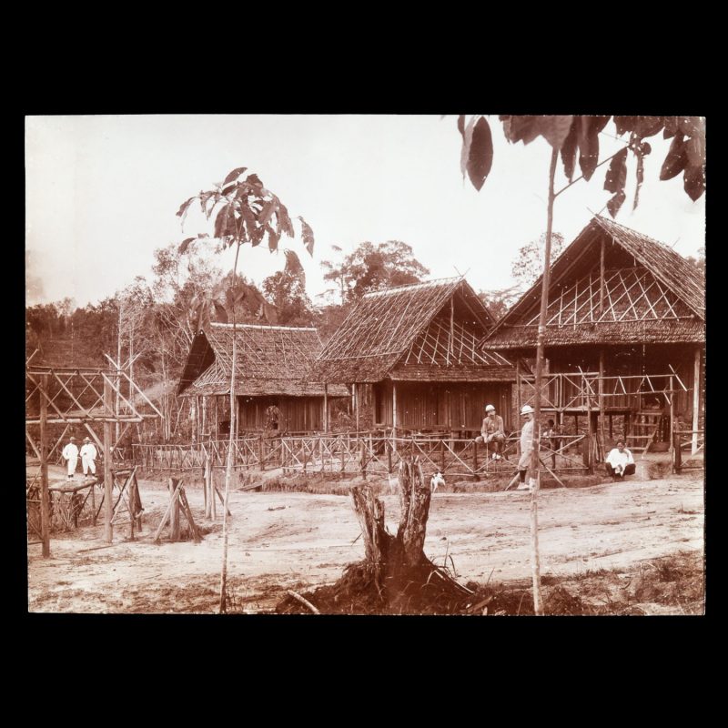 Archive of photographs belonging to a Dutch East India Company coffee ...