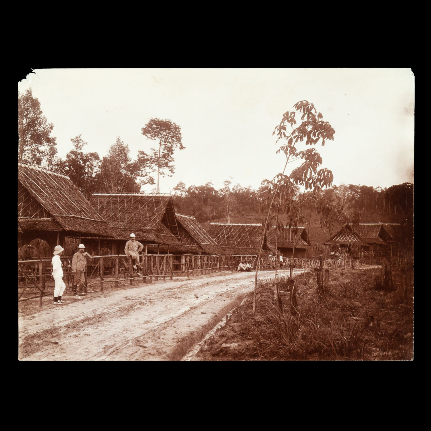 Archive of photographs belonging to a Dutch East India Company coffee ...
