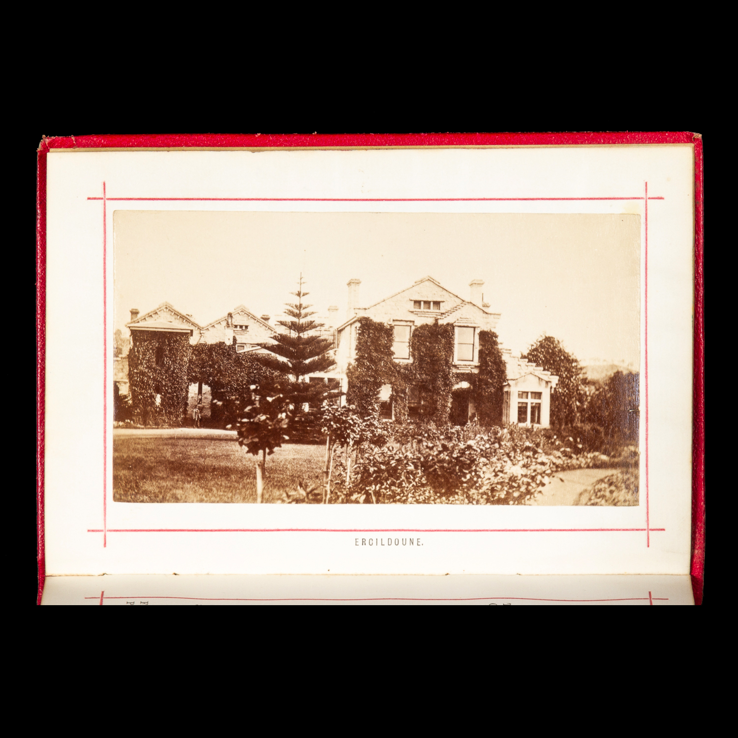 Catalogue of Sir Samuel Wilson's pure merino ewes and rams for sale at ...