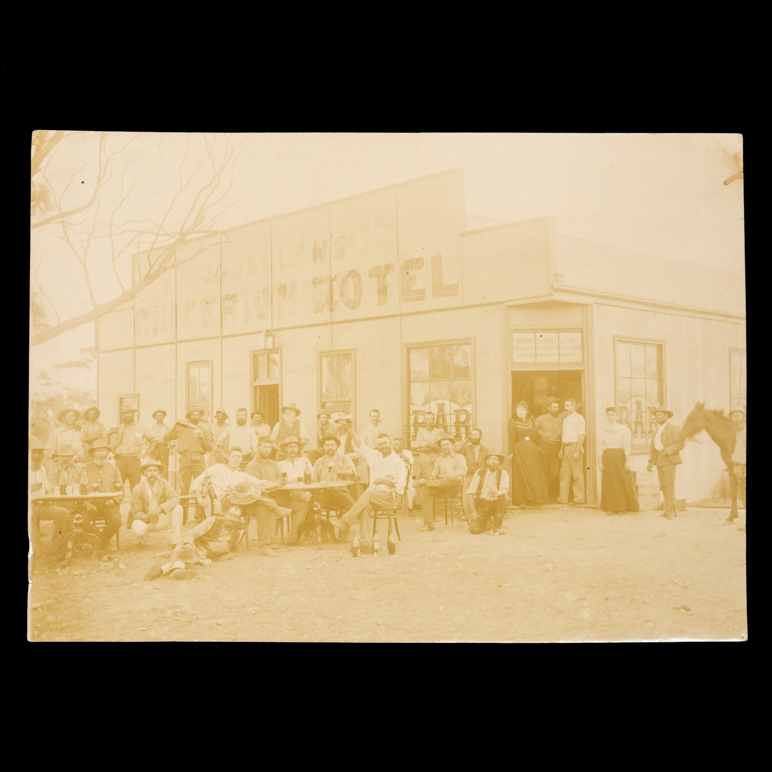 New Acquisitions - Douglas Stewart Fine Books